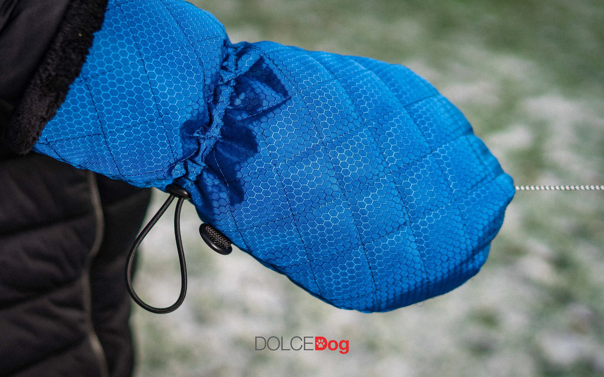 The Leash Mitten – Dolce Dog